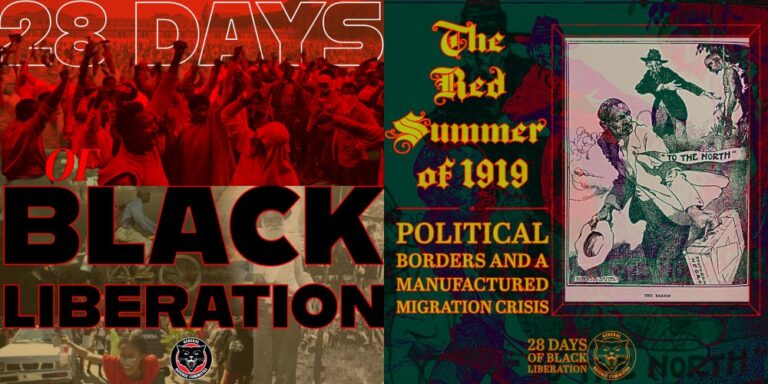 The Red Summer of 1919: Political Borders and a Manufactured Migration ...